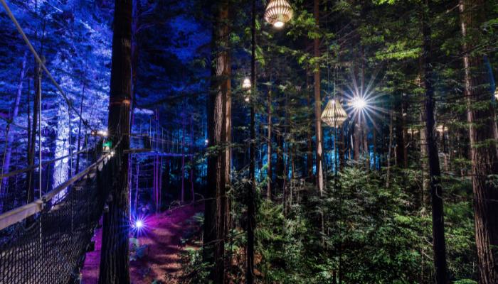 10 magical summer night activities in Rotorua you can’t miss | Rotorua NZ